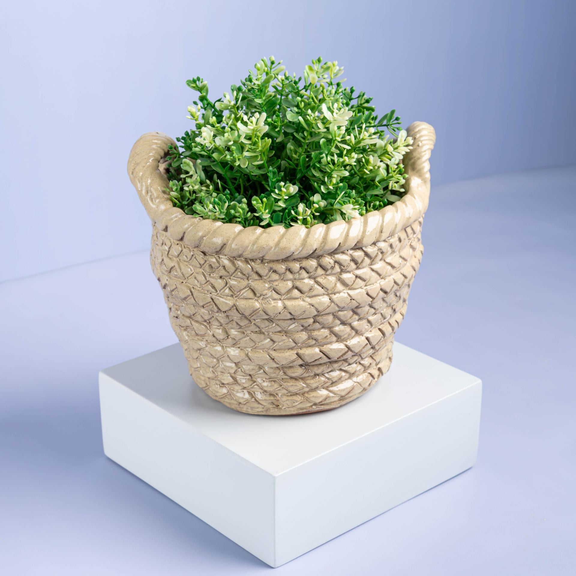 Weaved Basket Plant Pot - Efreshli