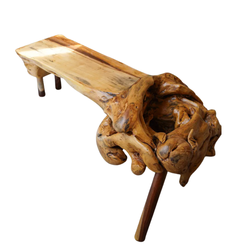 Twisted Roots Bench – Reclaimed Ficus Wood Sculptural Design - Efreshli