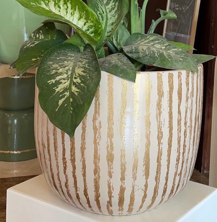 Gold Striped Pot - Efreshli