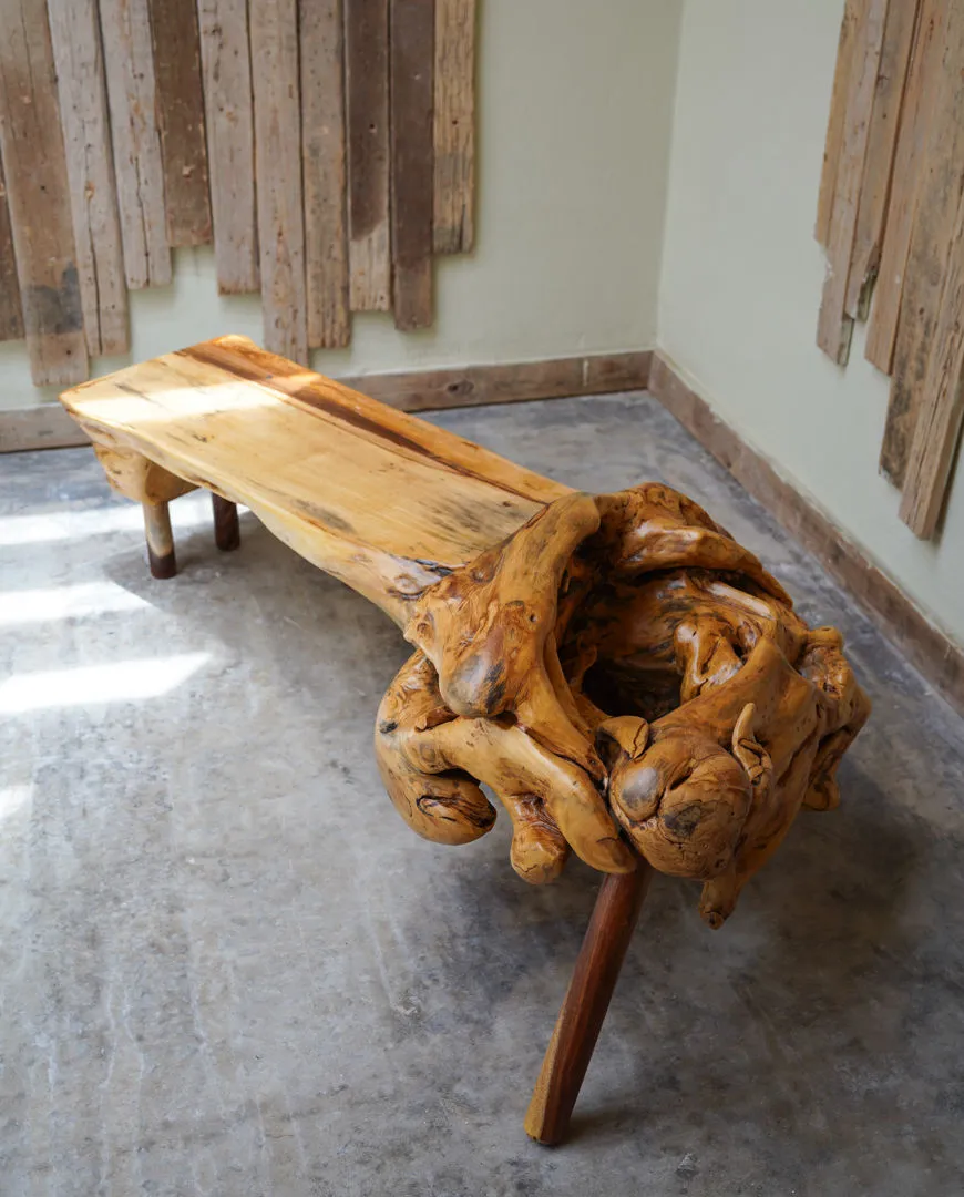 Twisted Roots Bench – Reclaimed Ficus Wood Sculptural Design - Efreshli