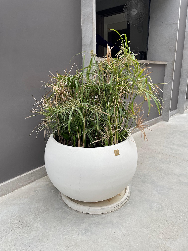 Tut Round Concrete Planter - Bold Color Pot with Sculptural Design ...
