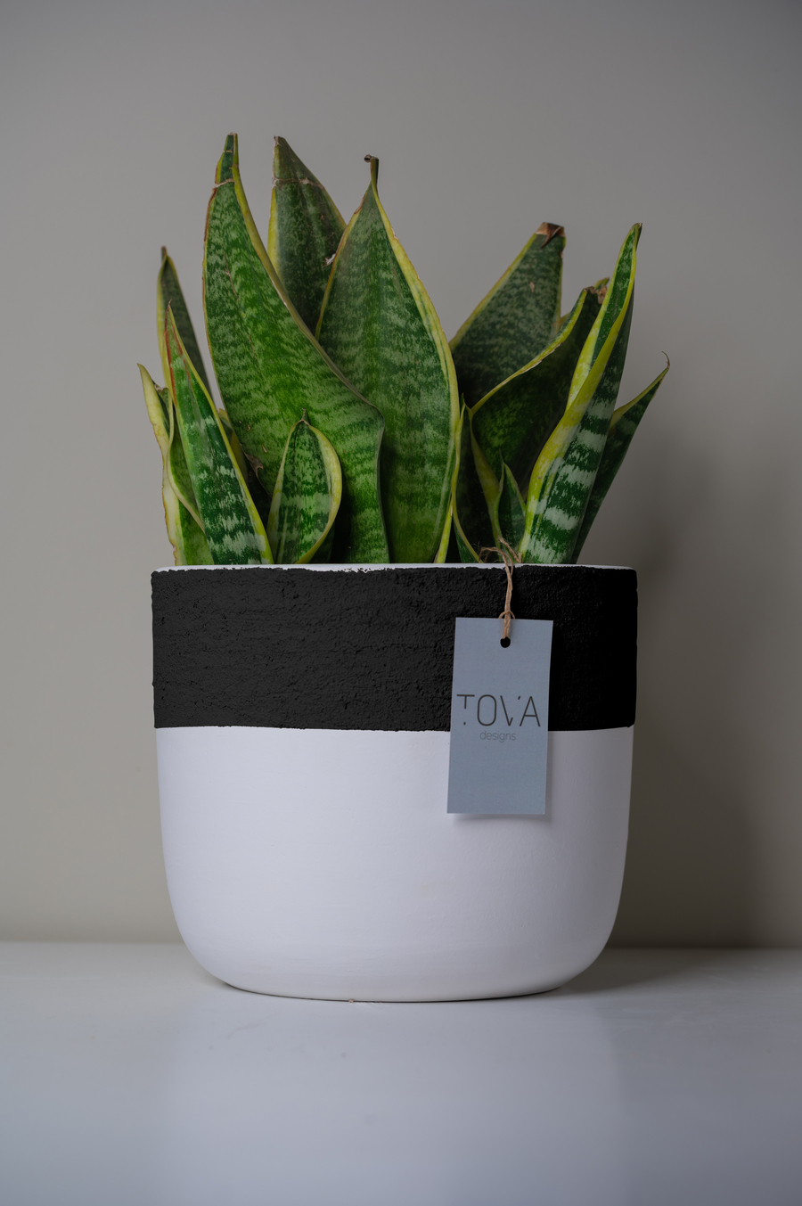 Rigid Snow Black Pot - Efreshli