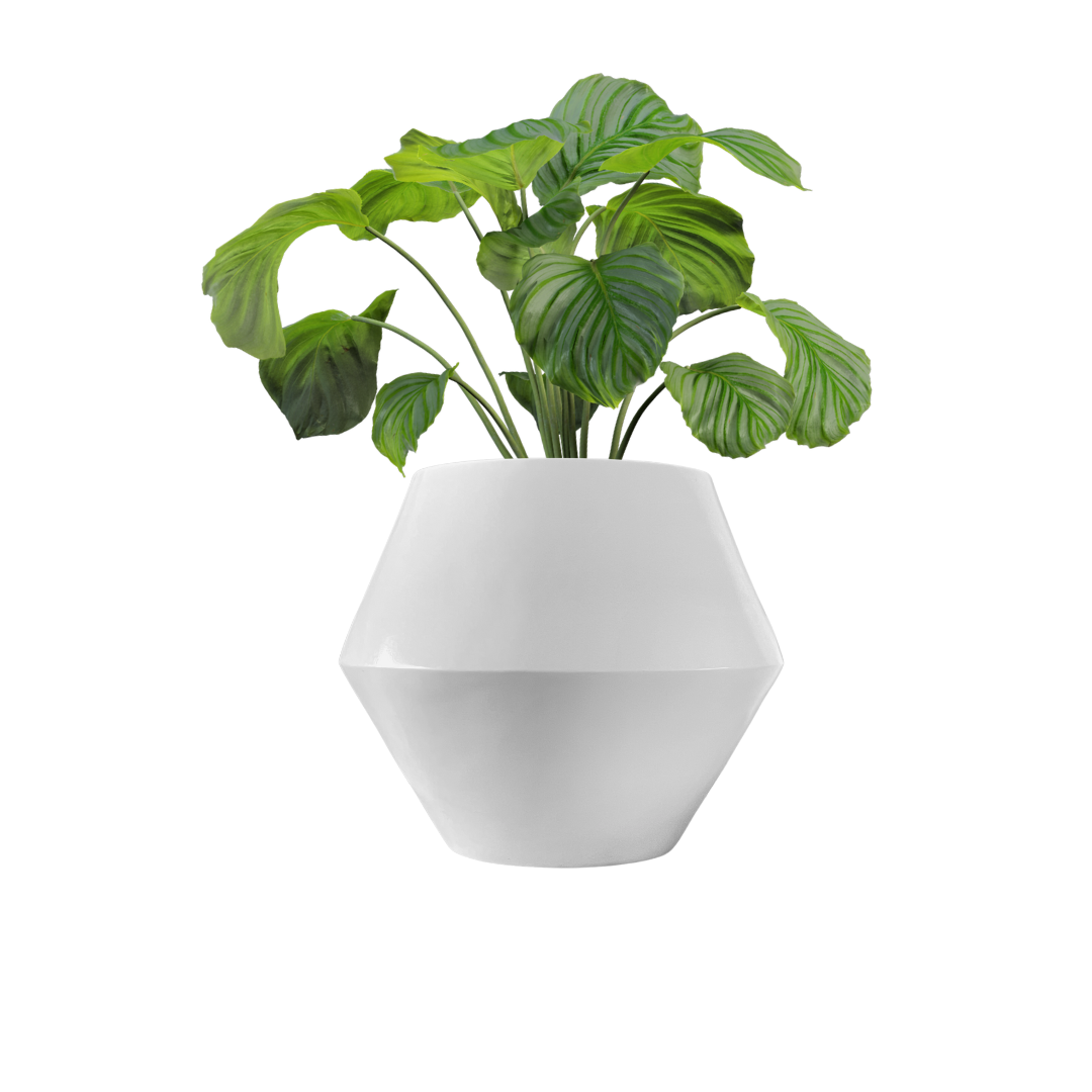 Efreshli | Edge Beige Fiberglass Pot