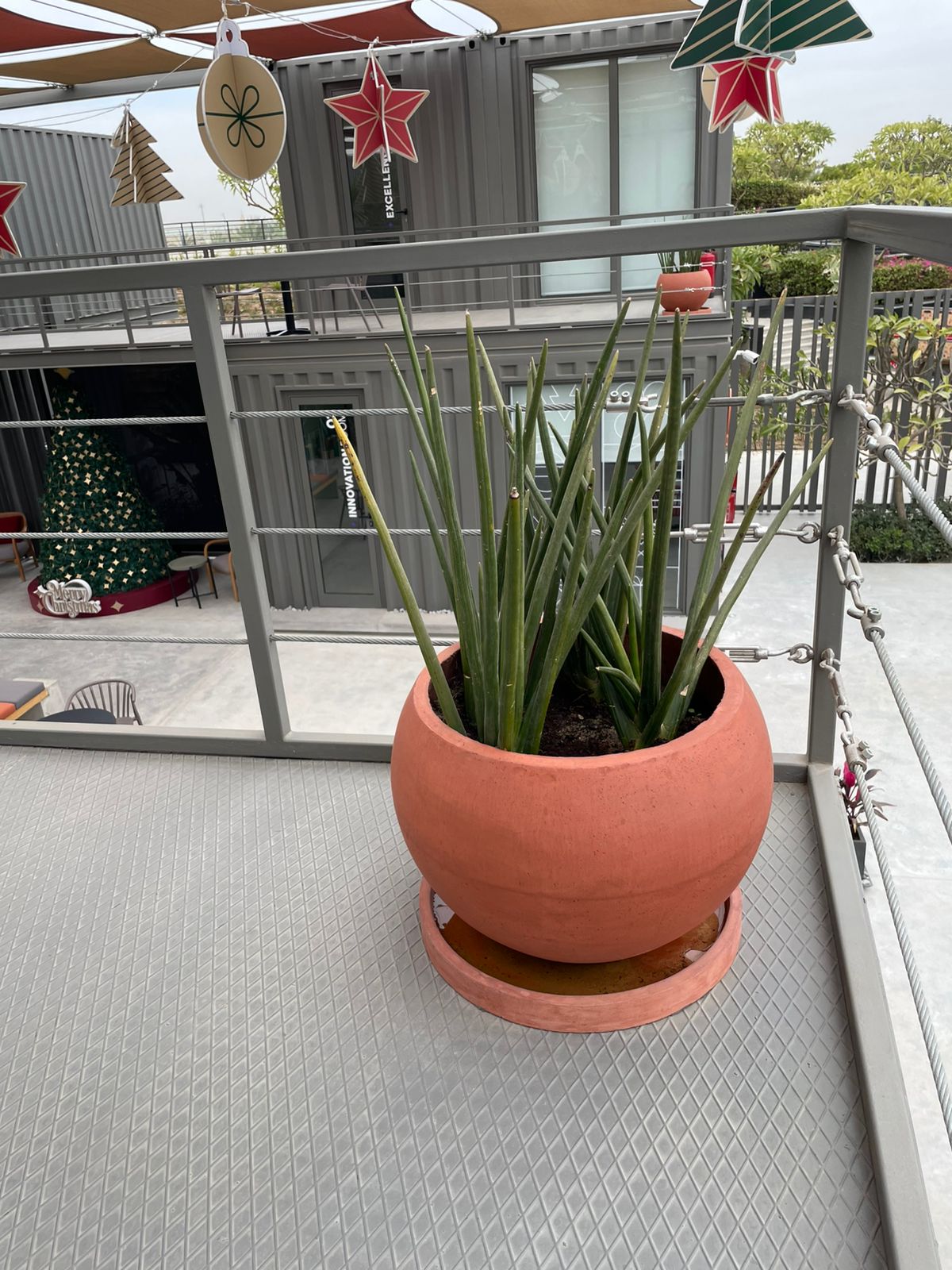 Tut Round Concrete Planter - Bold Color Pot with Sculptural Design ...